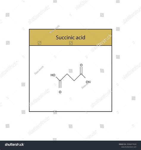 Succinic Acid Lewis Structure