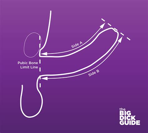 How To Measure A Curved Penis The Big Dick Guide