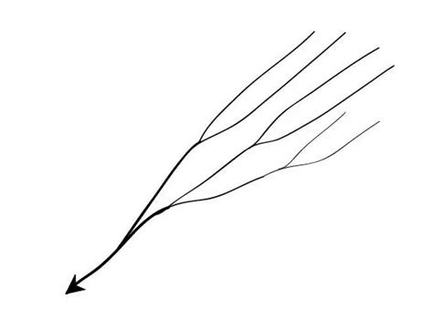 Drainage Patterns Discordant Concordant Pmf Ias