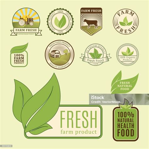 바이오 팜 유기농 에코 건강 식품 템플릿과 레스토랑 메뉴 또는 패키지 배지 벡터 일러스트 레이 션에 대 한 빈티지 채식주의 녹색