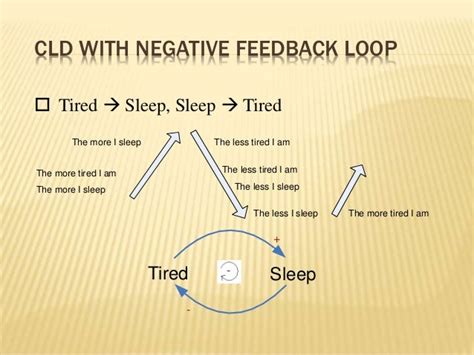 an introduction to system dynamics and feedback loop