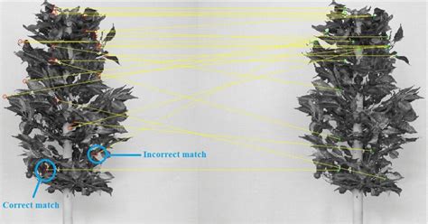 The Incorrect And Correct Matched Points Download Scientific Diagram