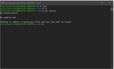 Beautiful Windows Terminal On WSL With Zsh DEV Community
