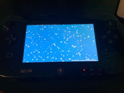 homebrew stuck and nothing shows up idk what to do r wiiuhacks