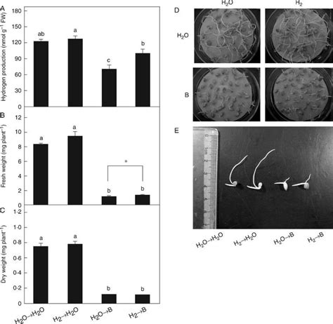 Multiple Images Show Different Stages Of The Same Cell Phone And One Shows How Many Cells Are
