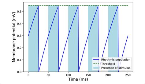 Dynamics Of The Rhythmic Inhibitory Neuron Connected To The Liquid Download Scientific