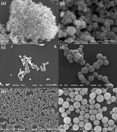 A B SEM Images Of The Fe3O4 Nanoparticles C D SEM Images Of Download Scientific