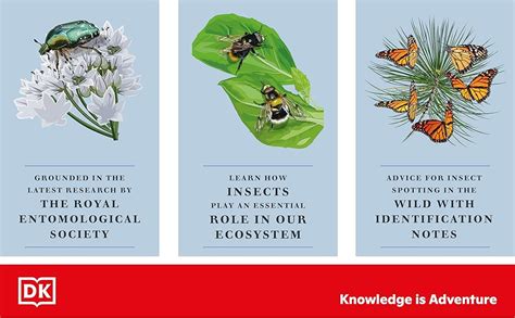 Insects Discover The Science And Secrets Behind The World Of Insects