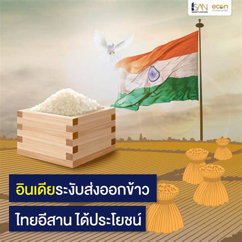 10 อันดับจังหวัดที่ปลูกต้นยางพารามากที่สุดในอีสาน Isaninsight อีสานอินไซต์