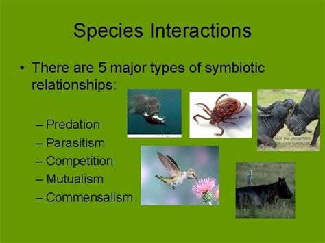 Species Interactions Section 2 1 Species Interactions Species