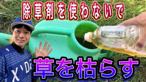 徹底解説!除草剤を使わないで草を枯らす【現代農業】 Youtube 徹底解説!除草剤を使わないで草を枯らす【現代農業】 Youtube