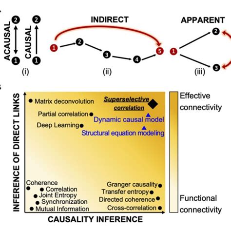 Definition Of Functional And Effective Connectivity A Download Scientific Diagram