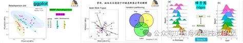 【超详细】r语言生物群落（生态）数据统计分析与绘图实践技术应用，融合r语言基础、tidyverse数据清洗、多元统计分析 知乎