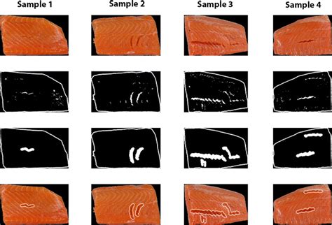 Visualization Of Preliminary Classification Result After Using Local Download Scientific