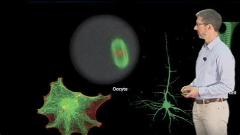 High Throughput Microscopy
