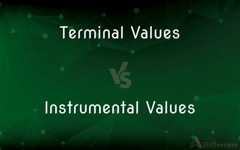 Terminal Values Vs Instrumental Values — Whats The Difference
