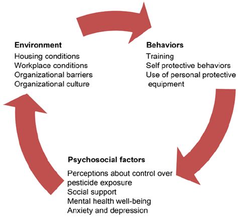 Cycle Between Environmental Behavioral And Psy Chosocial Factors And