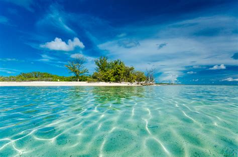 11 Fantastic Things To Do In Bimini Bahamas Travelawaits