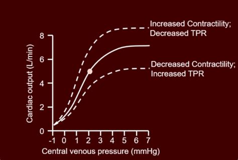 Cardiac And Vascular Function Curves Flashcards Quizlet