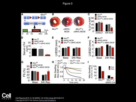 Volume Issue Pages July Ppt Download