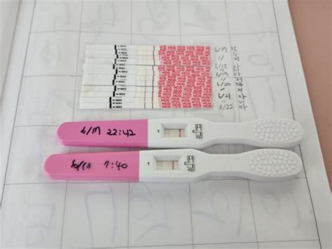 임테기 희미 임신 테스트기 사용시기 원포 얼리 테스트기 경험담 네이버 블로그 임테기 희미 임신 테스트기 사용시기 원포 얼리 테스트기 경험담 네이버 블로그