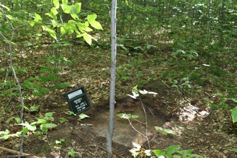 Structure B Test Unit 5 Picture Shows Berm From Foreground To