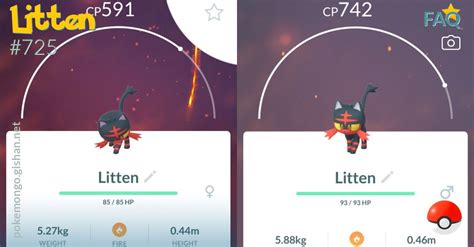 Litten Faq Pokemon Go