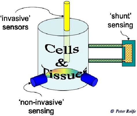 An Electrochemical Sensor Suitable For Invasive Monitoring In A Download Scientific Diagram