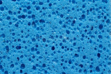 Texture Of Blue Sponge Object Background Concept Stock Image Image Of Shine Natural 310541615 Texture Of Blue Sponge Object Background Concept Stock Image Image Of Shine Natural 310541615