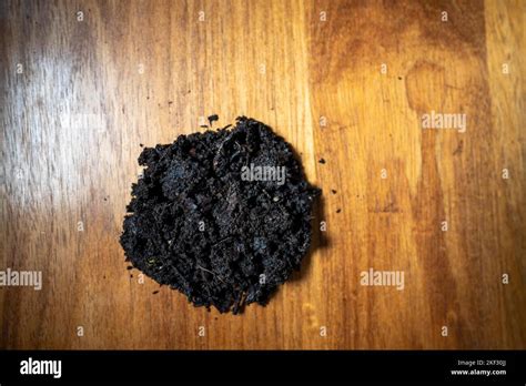Working In A Soil Lab Iwth Soil Samples Testing A Soil Test In Australia Stock Photo Alamy