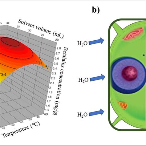 Response Surface Graph Showing The Interaction Between Temperature And