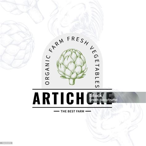 아티초크 로고 그리기 자연 식품 로고 야채 레스토랑 메뉴 빈티지 손으로 그린 복고풍 잎 채소 농장 그래픽 식물 스케치 격리 된 요소 벡터 디자인 배경 아티초크에 대한 스톡