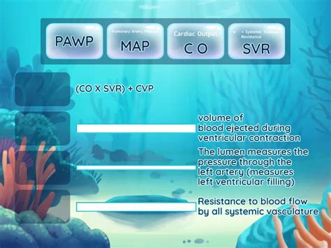 Hemodynamic Monitoring Match Up