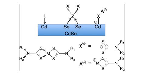 Bound Ion Pair X Type Ligation Of Cadmium And Zinc Dithiocarbamates On