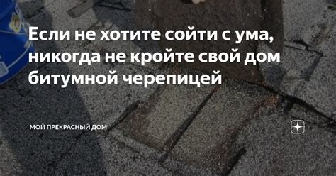 Если не хотите сойти с ума, никогда не кройте свой дом битумной ...