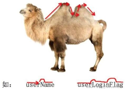 【python从入门到进阶】6、变量规范及类型转换python数据类型转换规律 Csdn博客