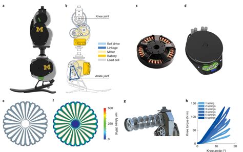 Open Source Leg Research Published In Nature Biomedical Engineering