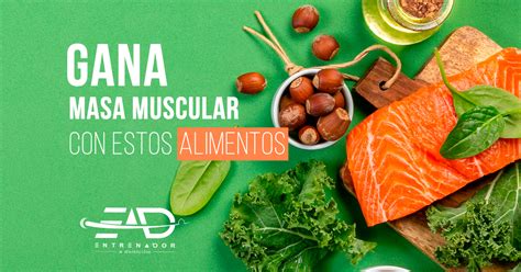 Los Mejores Alimentos Para Ganar Músculo Y Estar Sano Ead