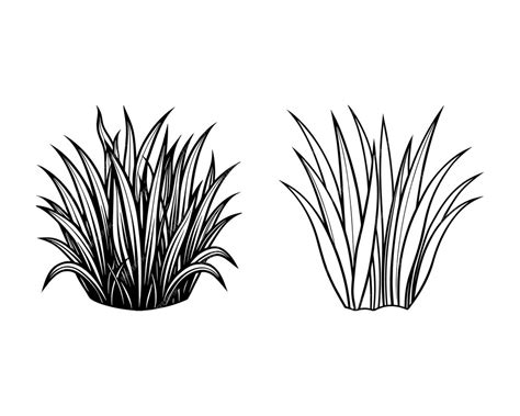 Premium Vector Grass Line Art Vector
