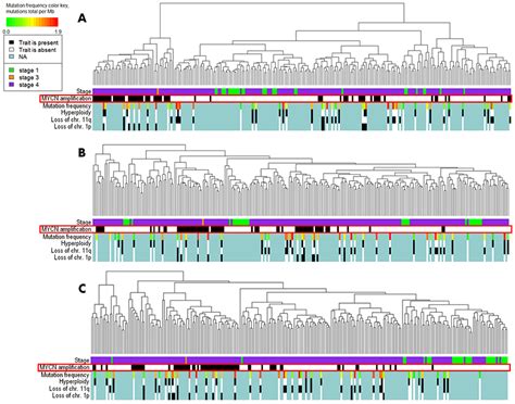 Hierarchical Clustering Of The Target Project Gene Expression Data At