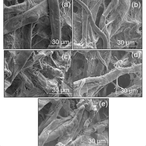 SEM Images Of Impregnated Substrate Layers A As Received Download Scientific Diagram