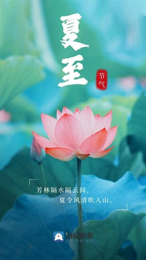 海报图品夏至话习俗 李静 新闻