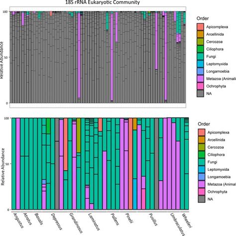 Microbial Eukaryotic Communities 18s Rrna Associated With Turtle