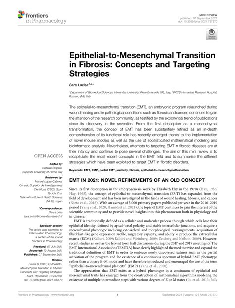 Pdf Epithelial To Mesenchymal Transition In Fibrosis Concepts And Targeting Strategies