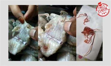 মাছে মরফিন ভাইরাস আবার ফিরলো পুরনো গুজব Fishes Infected By Morphin