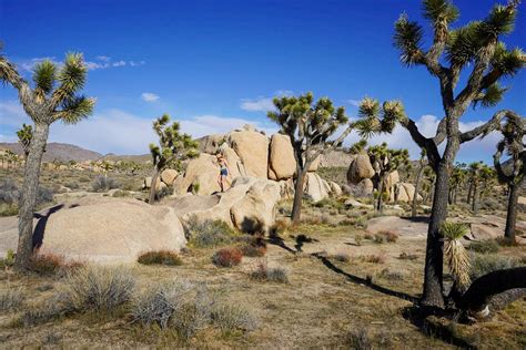 Hidden Valley Trail In Joshua Tree National Park A Complete Guide