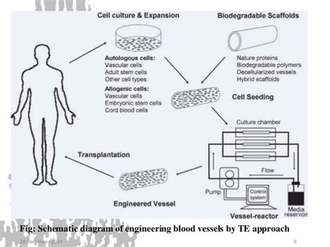 Bioprinting