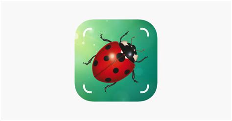 ‎app Store 上的“insect Bug Spider Identifier”