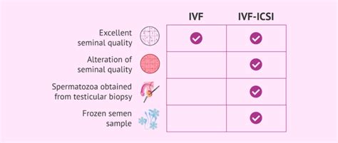 Type Of Ivf According To The Semen Sample