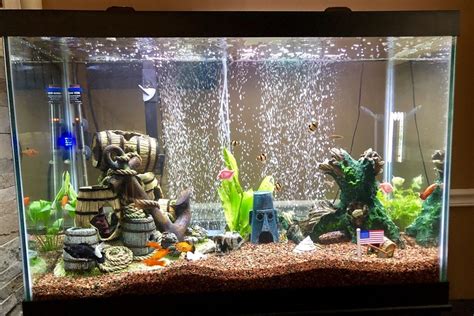 Best Self Cleaning Fish Tank For Fishlab